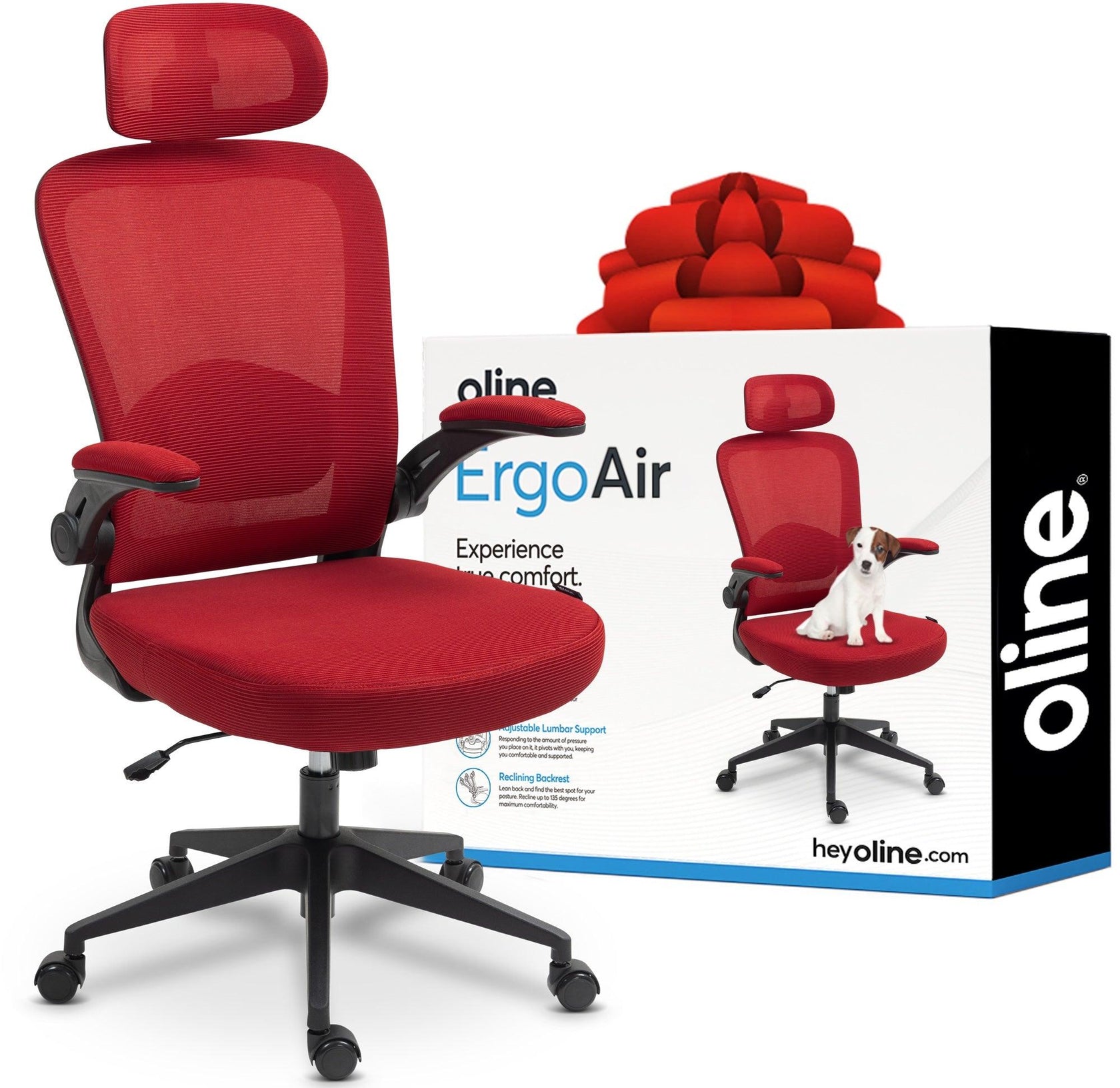 ErgoAir Ergonomic Office Chair – Oline